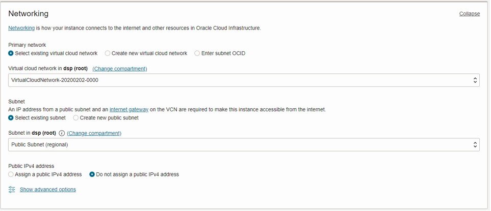Deploying a .NET core app on OCI (Container instance)